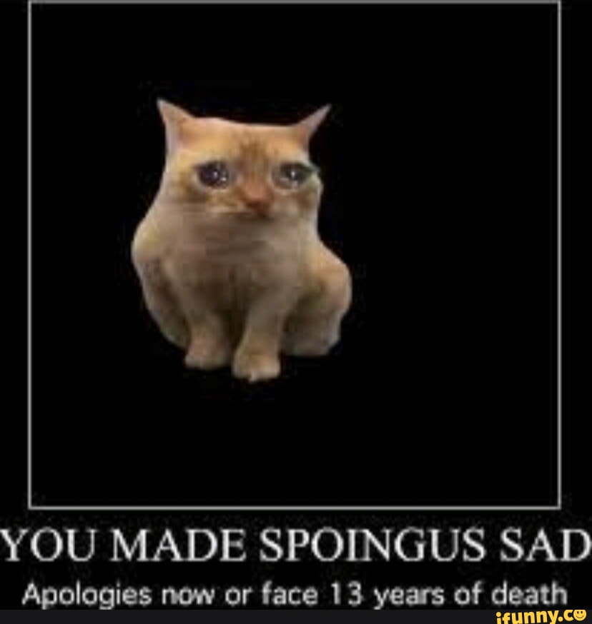 YOU MADE SPOINGUS SAD Apologies now or face 13 years of death - iFunny