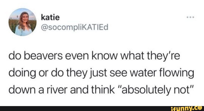 Katie @socompliKATIEd do beavers even know what they're doing or do ...
