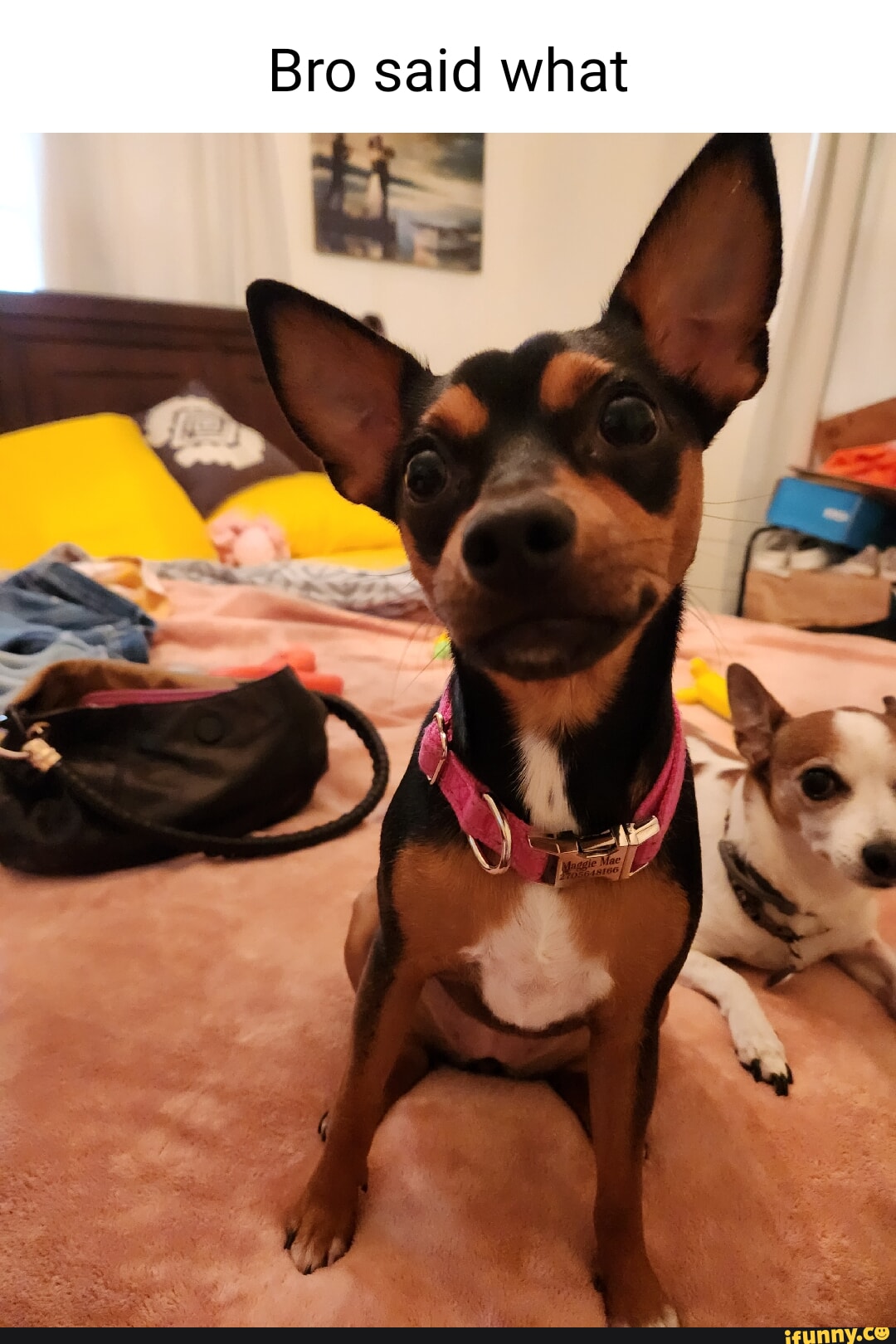 Bro said what - iFunny