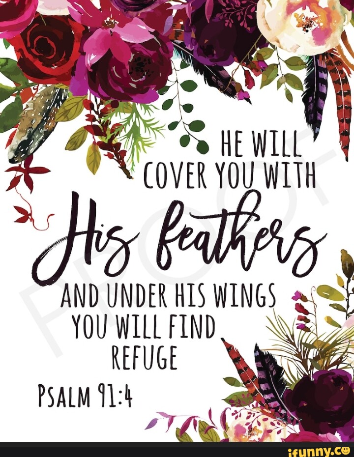 Cower memes. Best Collection of funny Cower pictures on iFunny