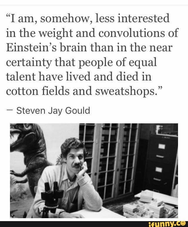 “I am, somehow, less interested in the weight and convolutions of ...