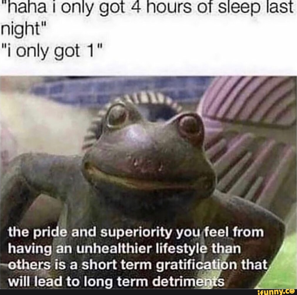 Gratification memes. Best Collection of funny Gratification pictures on ...