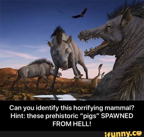 Entelodont memes. Best Collection of funny Entelodont pictures on iFunny