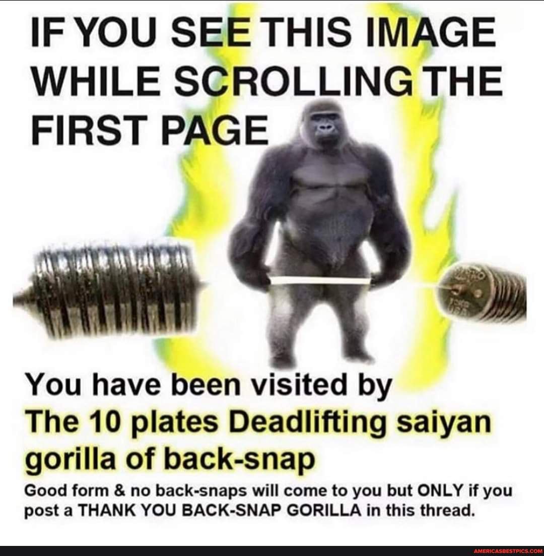 THANK YOU BACK-SNAP GORILLA! 🦍 - IF YOU SEE THIS IMAGE WHILE SCROLLING ...