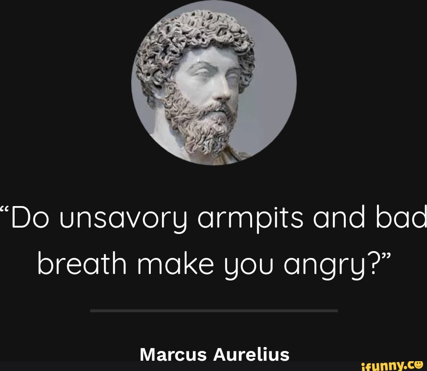 Armpits memes. Best Collection of funny Armpits pictures on iFunny