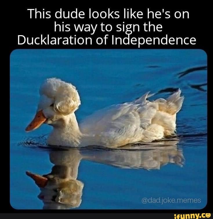 This dude looks like he's on his way to sign the Ducklaration of ...