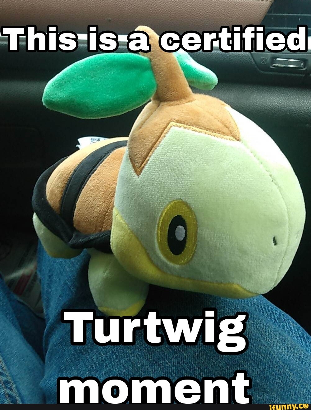 Turtwig memes. Best Collection of funny Turtwig pictures on iFunny