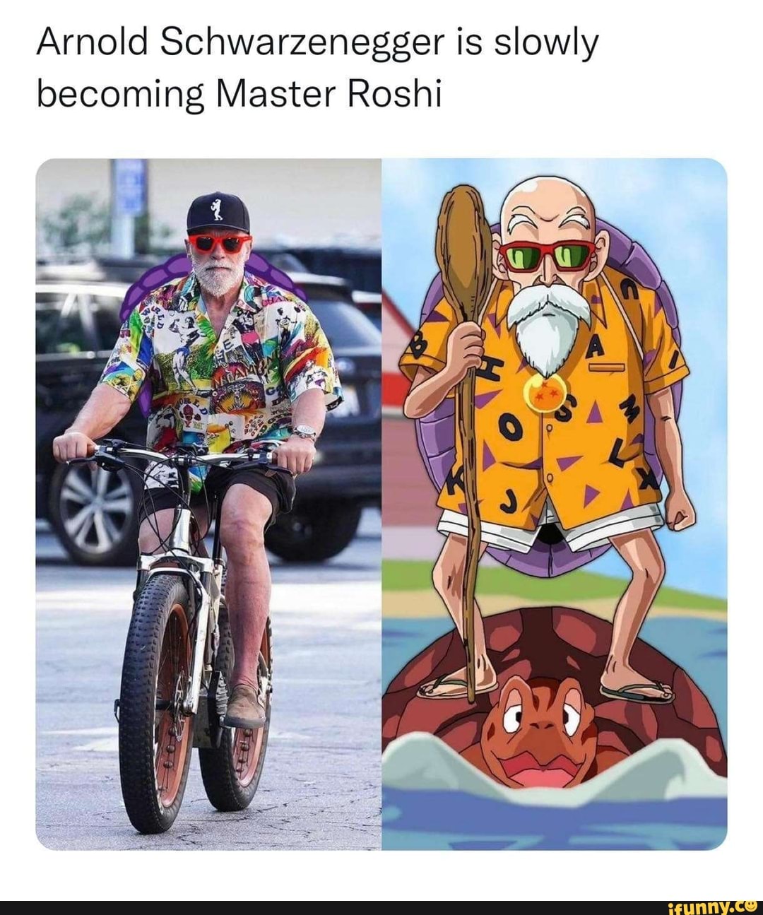 Arnold Schwarzenegger is slowly becoming Master Roshi - iFunny