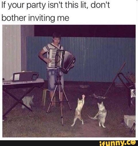 Mooooore memes - If your party isn't this lit, don't bother inviting me ...