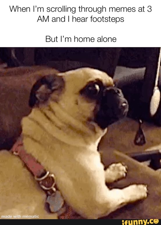 When I'm scrolling through memes at 3 AM and I hear footsteps But I'm ...