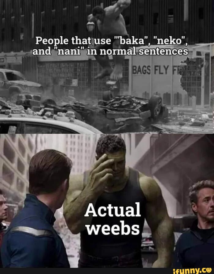 People se "baka', "neko', normal! sent - iFunny