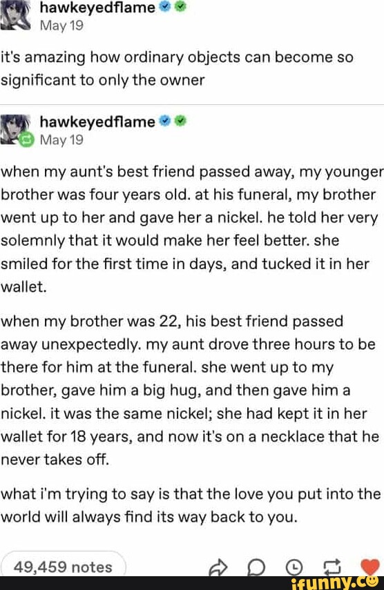 The Very Rare And Elusive Hummingbear. - iFunny