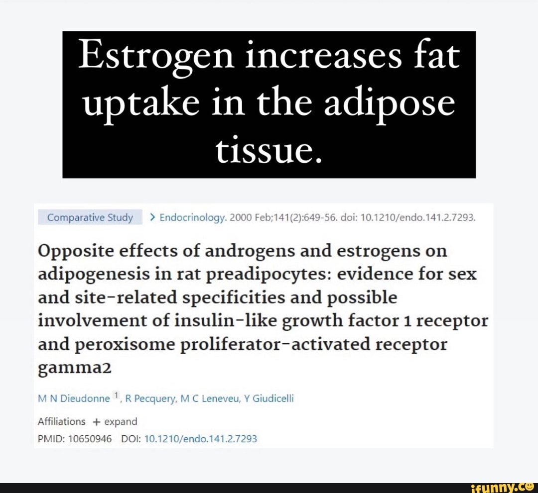 Estrogen increases fat uptake in the adipose tissue. Comparative Study ...