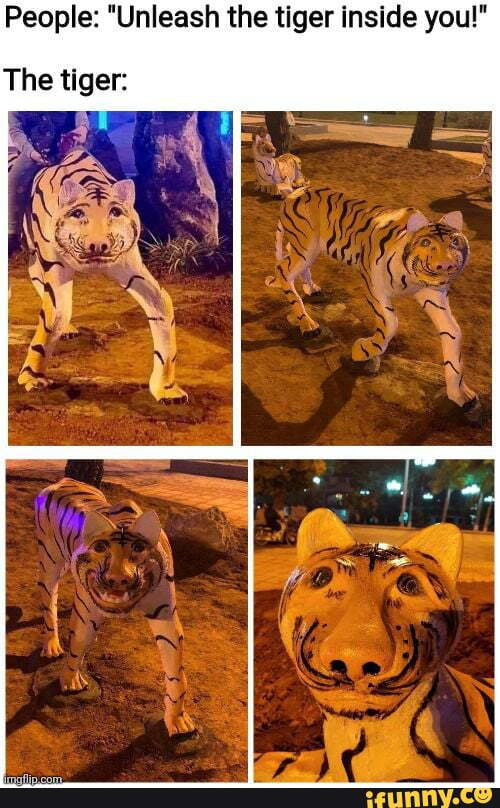 People: "Unleash the tiger inside you!" The tiger: - iFunny
