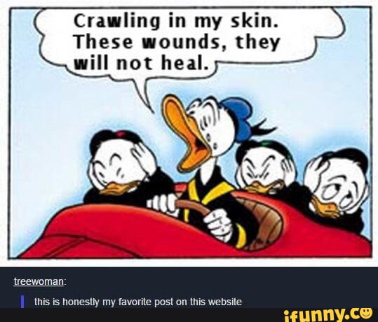 Me:*picks at scab* My blood cells who spent hours building - iFunny