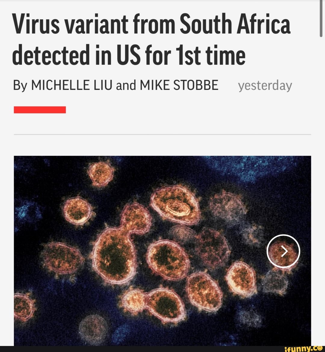 Virus variant from South Africa detected in US for ist time By MICHELLE ...