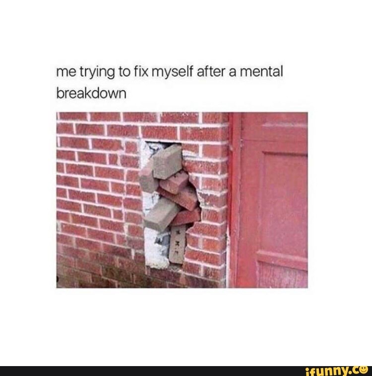 Me trying to fix myself after a mental - iFunny