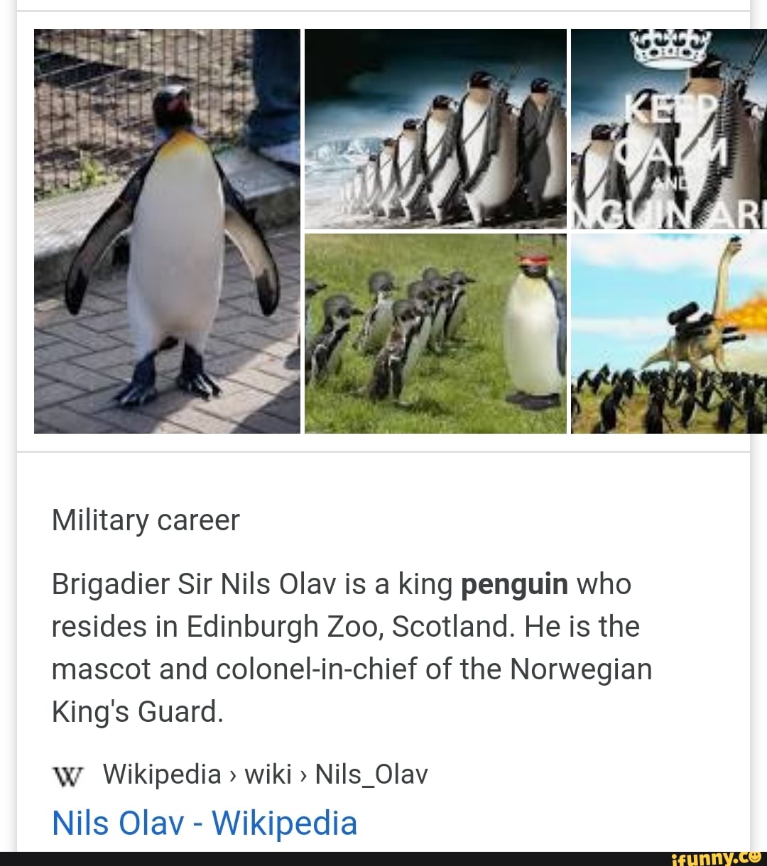 Brigadier Sir Nils Olav is a king penguin who resides in Edinburgh Zoo ...