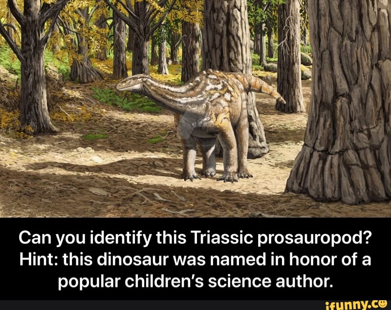 Can you identify this Triassic prosauropod? Hint: this dinosaur was ...