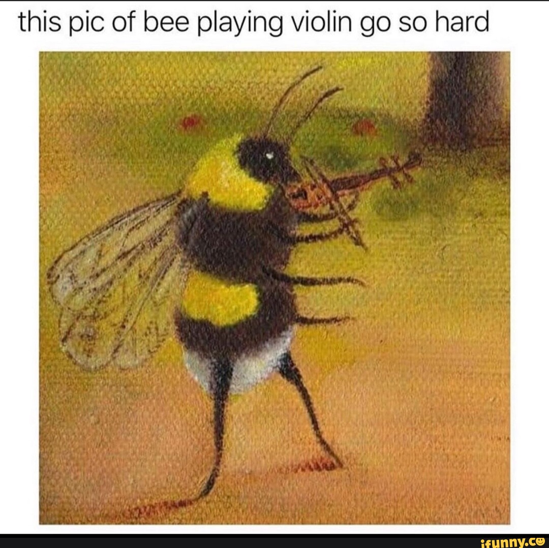 This pic of bee playing violin go so hard - iFunny