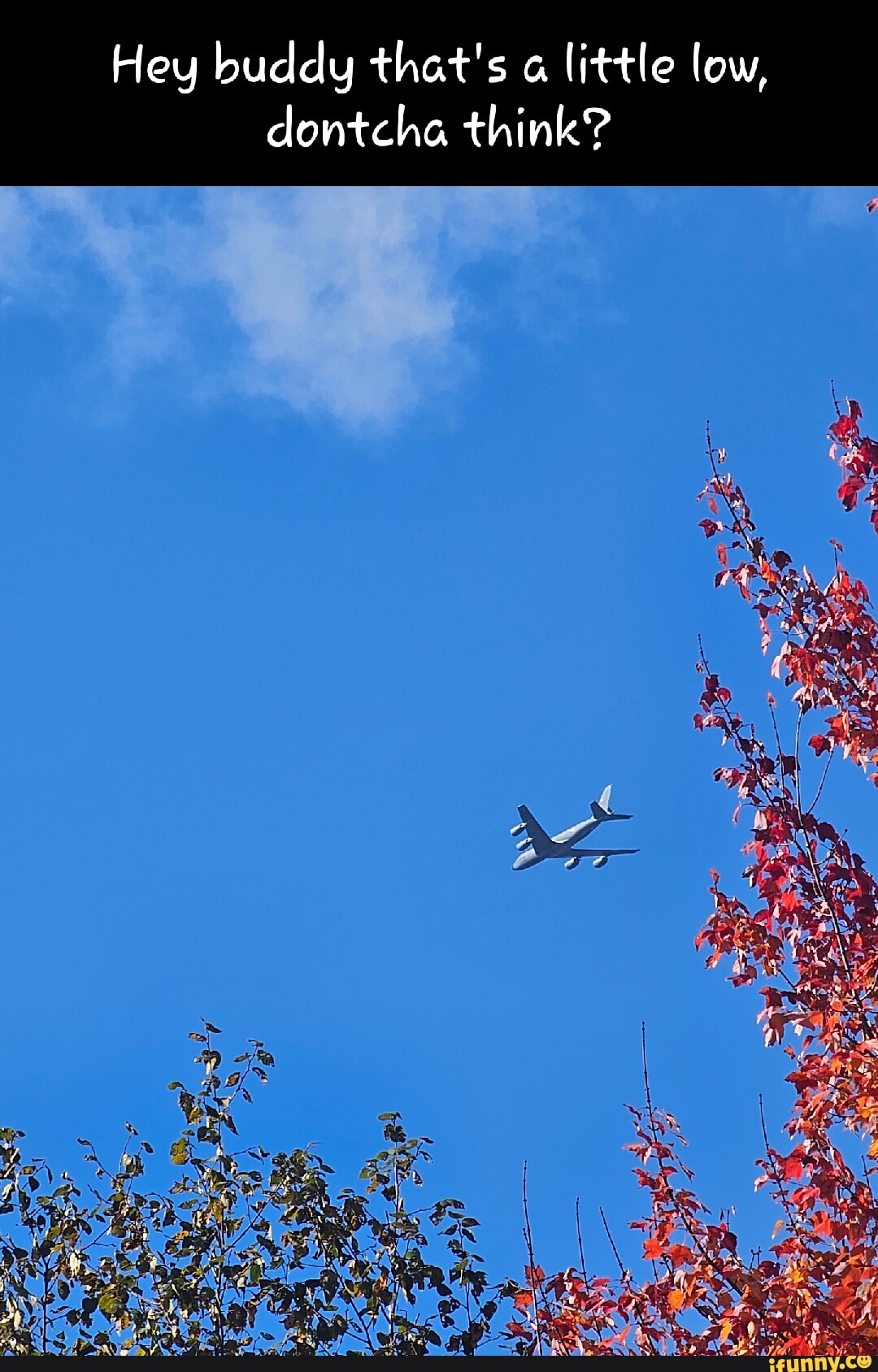 Uncomfy memes. Best Collection of funny Uncomfy pictures on iFunny