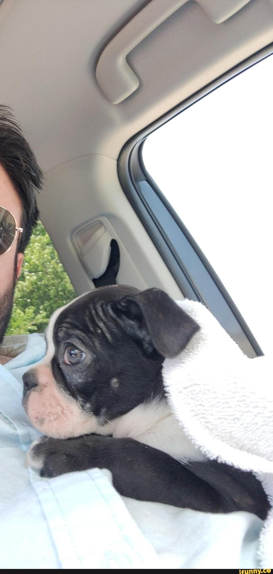 Falafel memes. Best Collection of funny Falafel pictures on iFunny