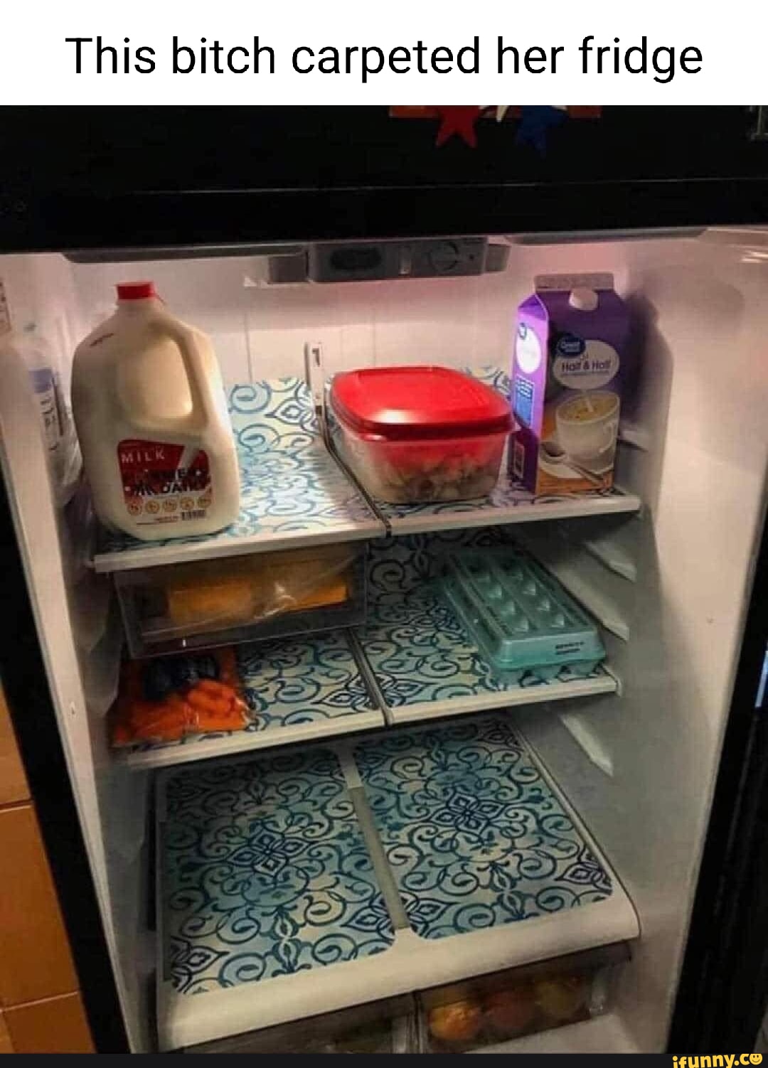 This bitch carpeted her fridge - iFunny