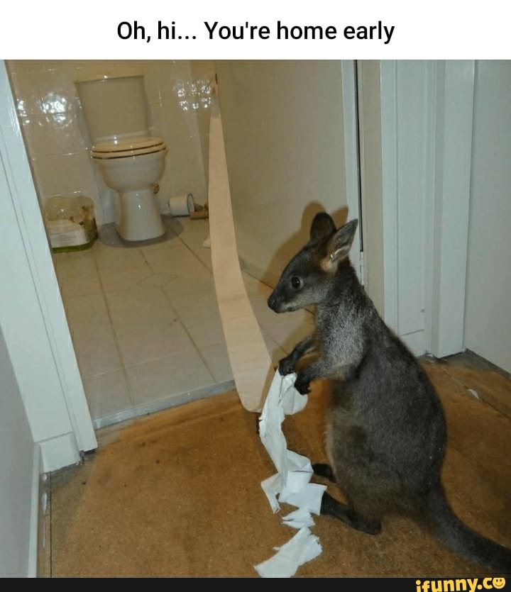Homeealry memes. Best Collection of funny Homeealry pictures on iFunny