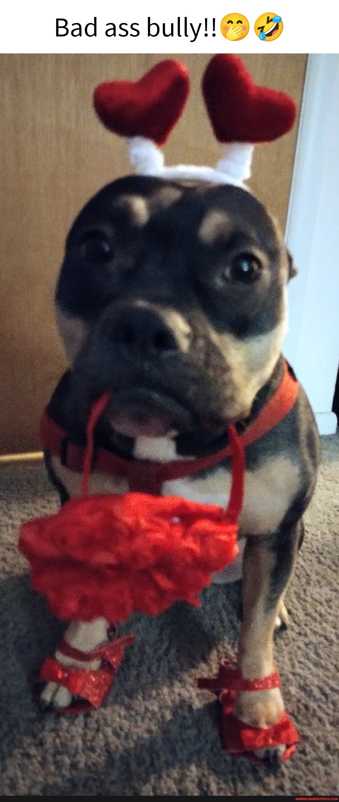 Alll wanted was a Hug... - America’s best pics and videos