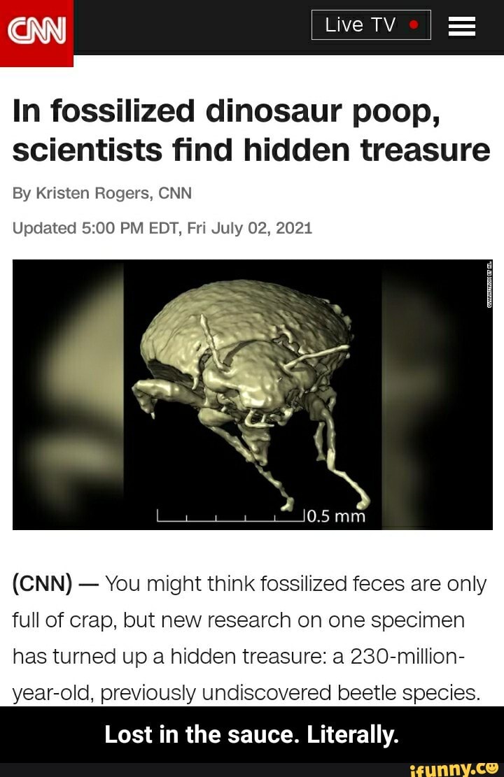 INN In fossilized dinosaur poop, scientists find hidden treasure By ...