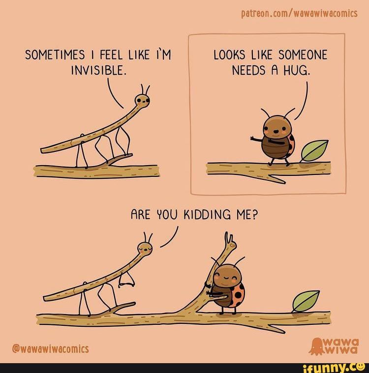 Wawa memes. Best Collection of funny Wawa pictures on iFunny