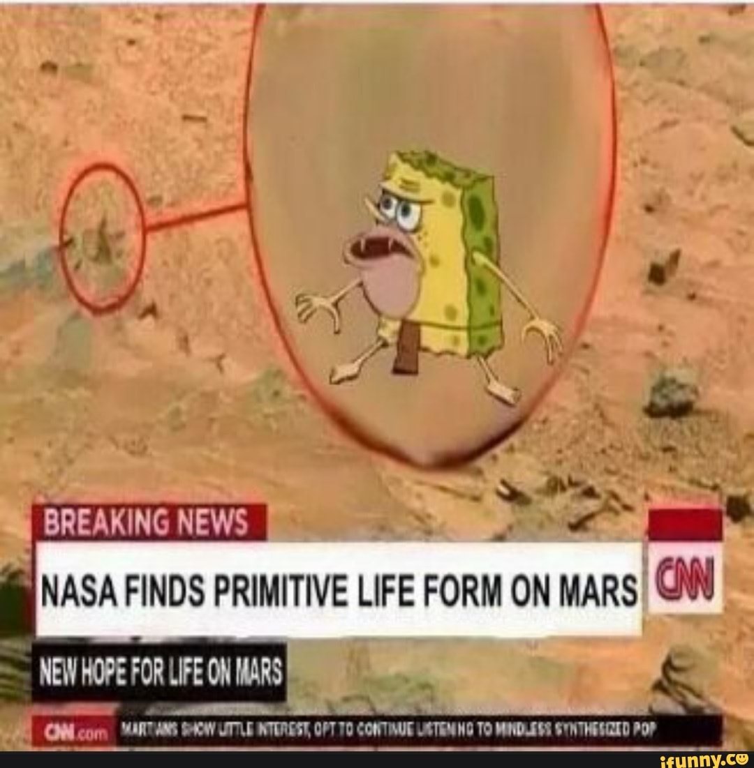 BREAKING NEWS NASA FINDS PRIMITIVE LIFE FORM ON MARS NEW HOPE FOR LIFE ...