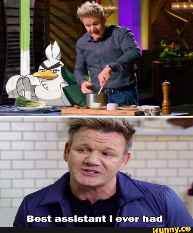 Best assistant i ever had - iFunny