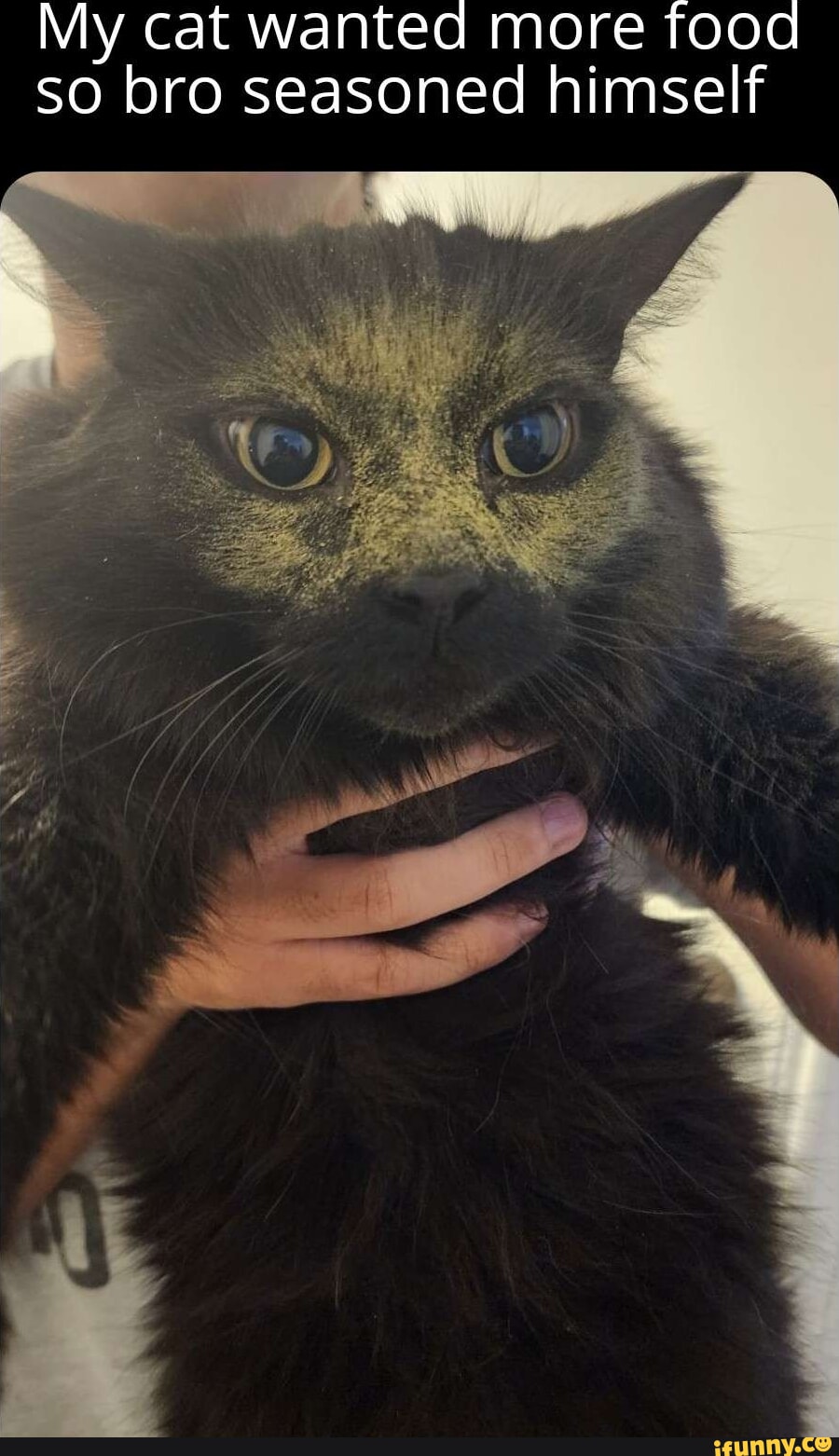 Video memes ETdjNCZwA by smol_foxxo - iFunny