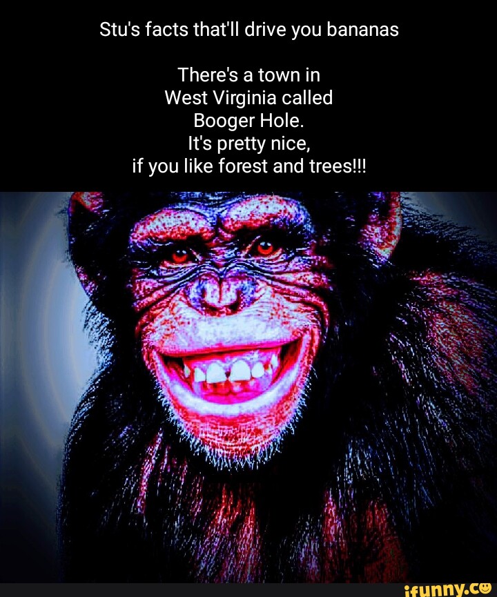 Stu's facts that'll drive you bananas There's a town in West Virginia ...