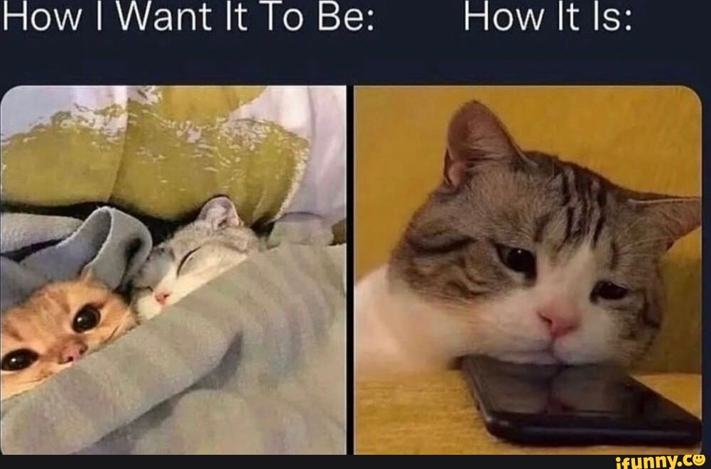 Relatable memes. Best Collection of funny Relatable pictures on iFunny