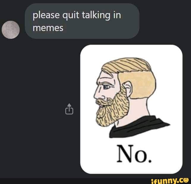 Please quit talking in memes - iFunny