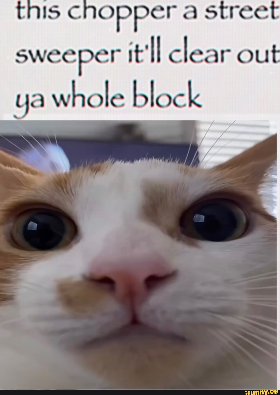 Sweeper memes. Best Collection of funny Sweeper pictures on iFunny