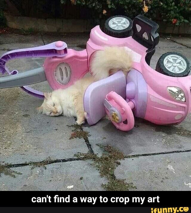 Crop memes. Best Collection of funny Crop pictures on iFunny