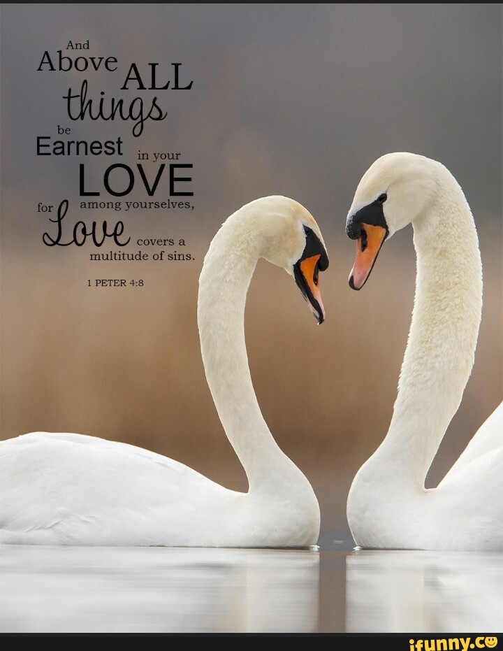 Aims memes. Best Collection of funny Aims pictures on iFunny