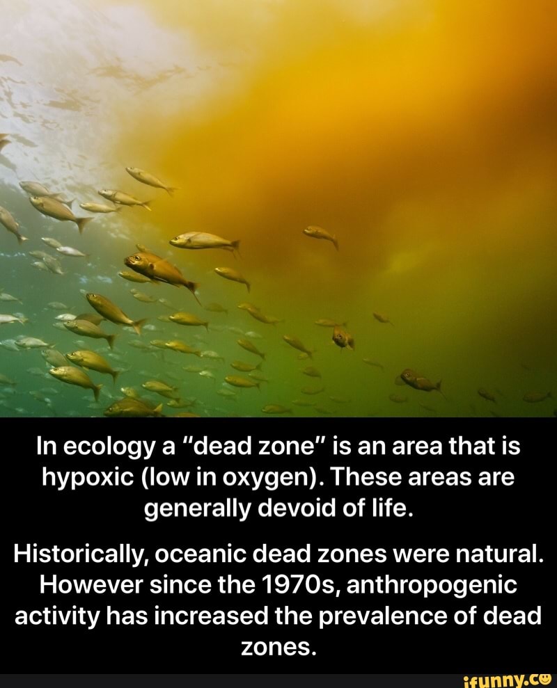 In ecology a "dead zone" is an area that is hypoxic (low in oxygen ...