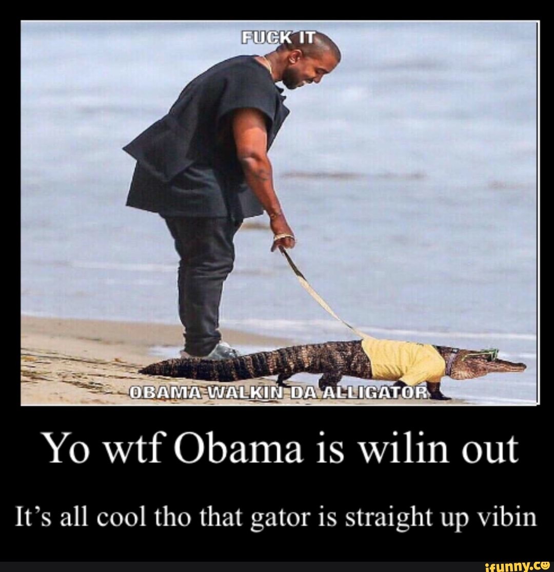 Y0 wtf Obama is Wilin out It’s all cool tho that gator is straight up ...