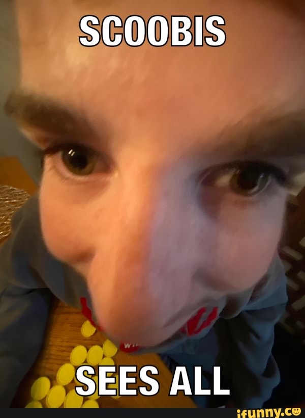 Scoobis memes. Best Collection of funny Scoobis pictures on iFunny