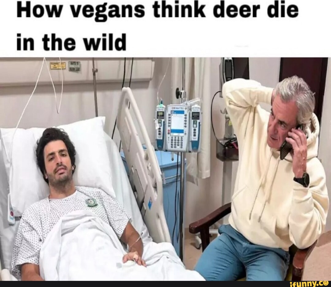 How vegans think deer die in the wild - iFunny