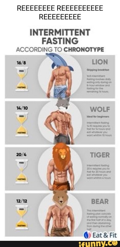 REEEEEEEE REEEEEEEEEE REEEEEEEEE INTERMITTENT FASTING ACCORDING TO ...