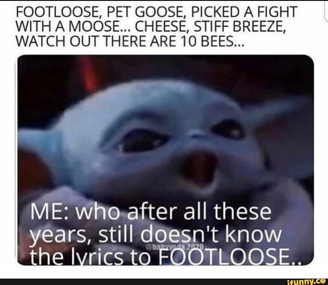FOOTLOOSE, PET GOOSE, PICKED A FIGHT WITH A MOOSE... CHEESE, STIFF ...