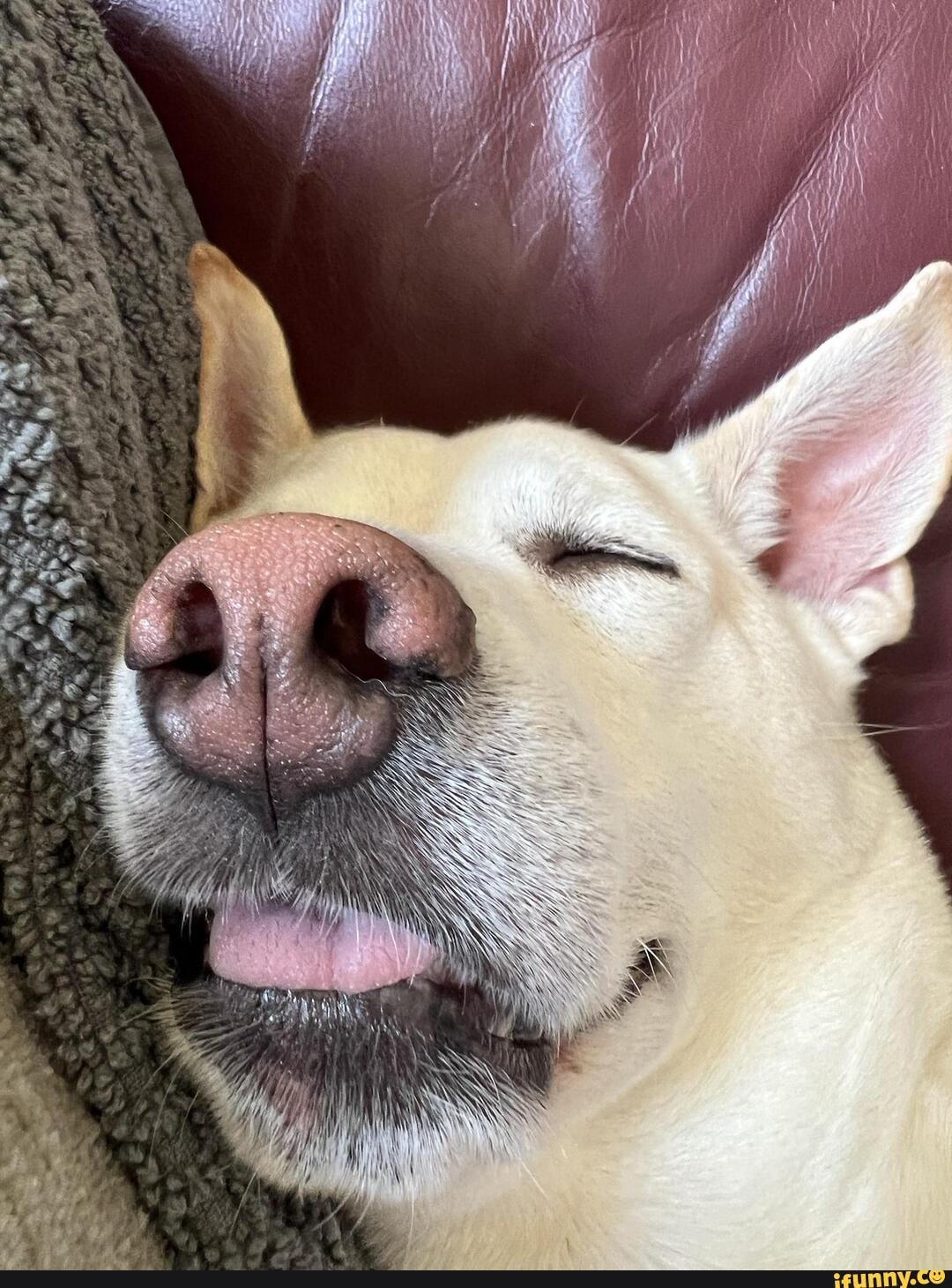 Mostphotogenic2022 memes. Best Collection of funny Mostphotogenic2022 ...