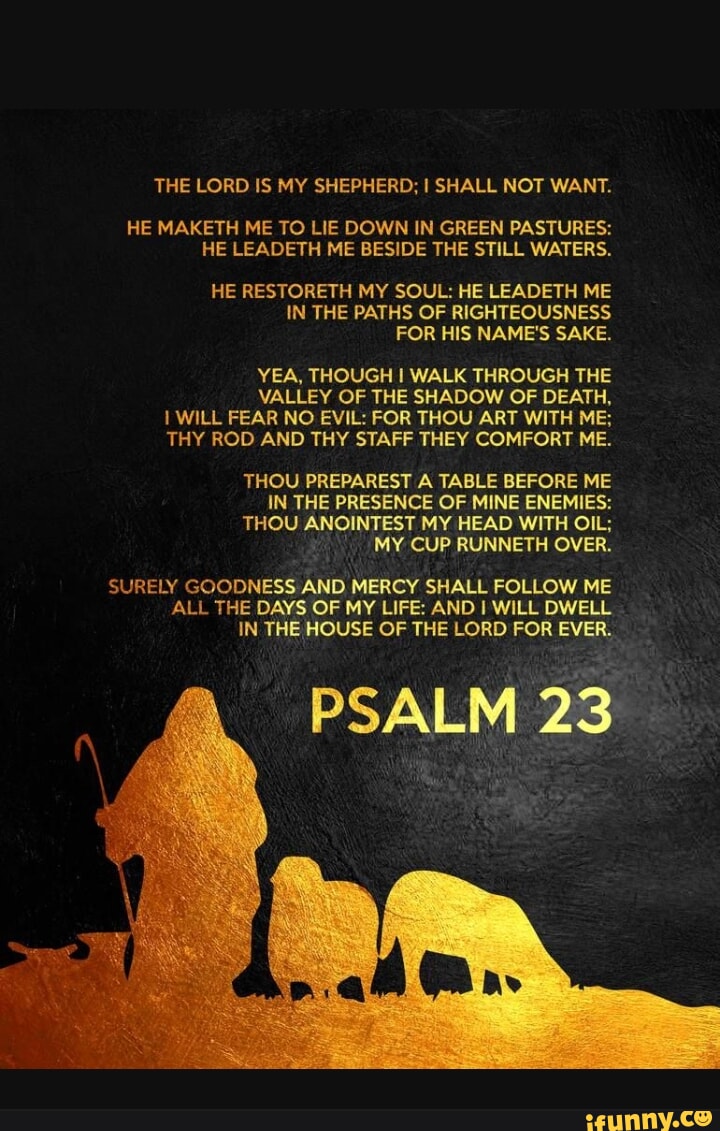 THE LORD IS MY SHEPHERD; I SHALL NOT WANT. HE MAKETH ME TO LIE DOWN IN ...