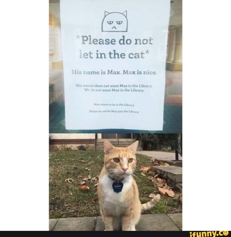 Please do not et in the cat* tis name is Max. Max is nice. His owner ...