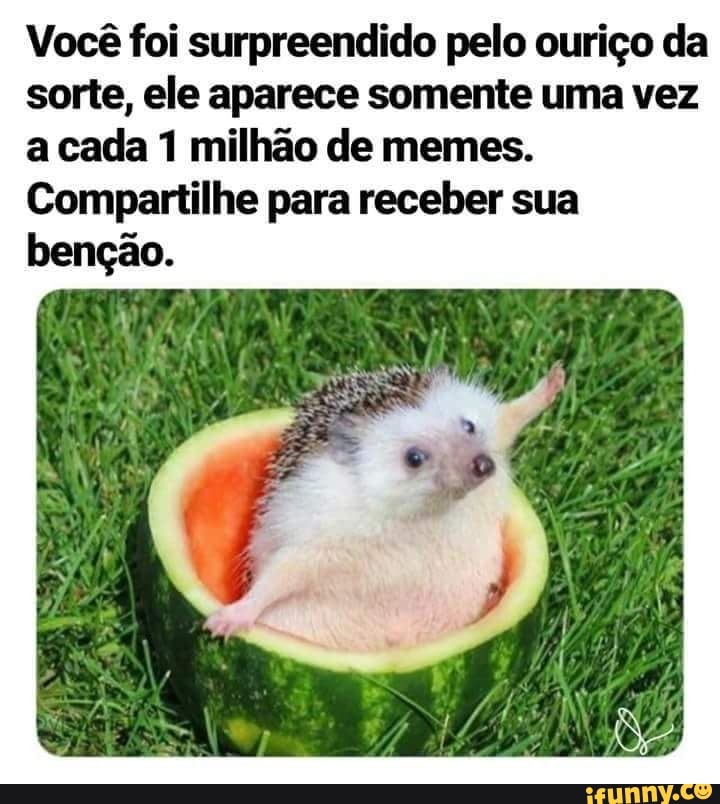Você foi surpreendido pelo ouriço da sorte, ele aparece somente uma vez ...